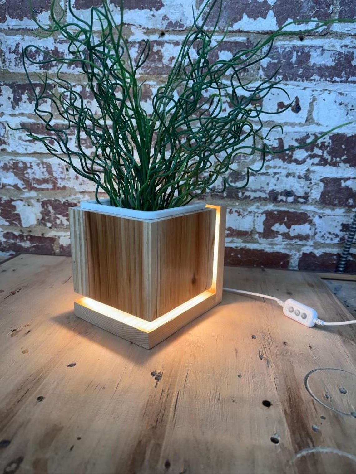 Planter With LED Light - Etsy