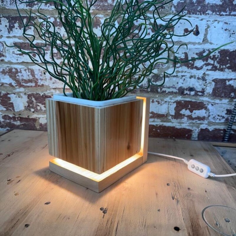 Wall Planter With Light - Etsy