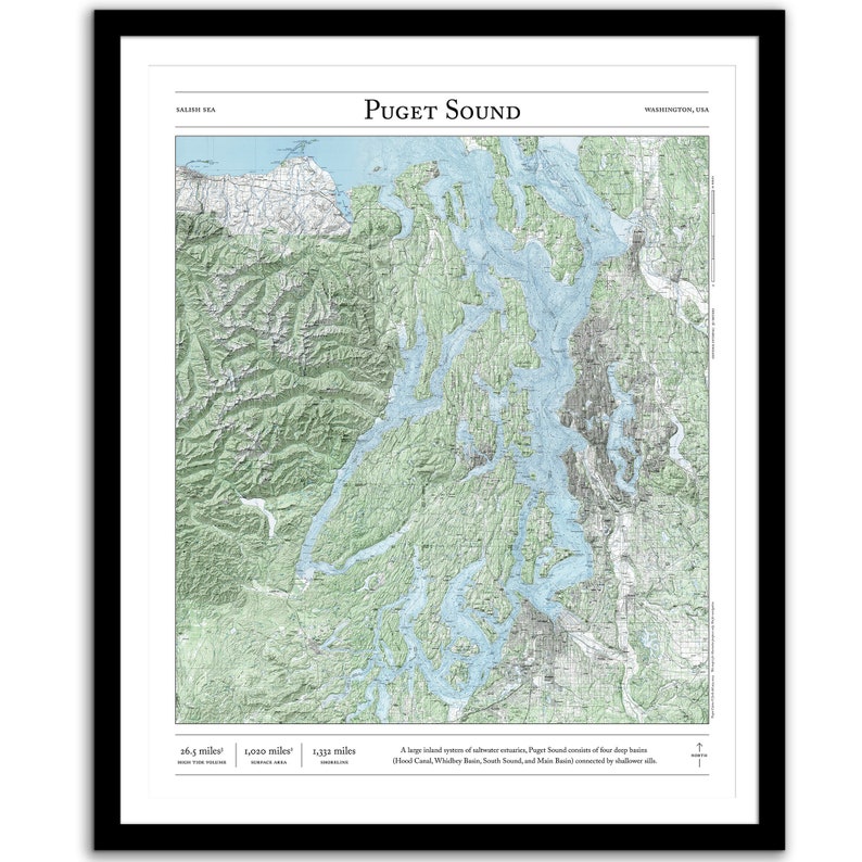 Puget Sound Topographic Map: Washington State Art Print - Etsy