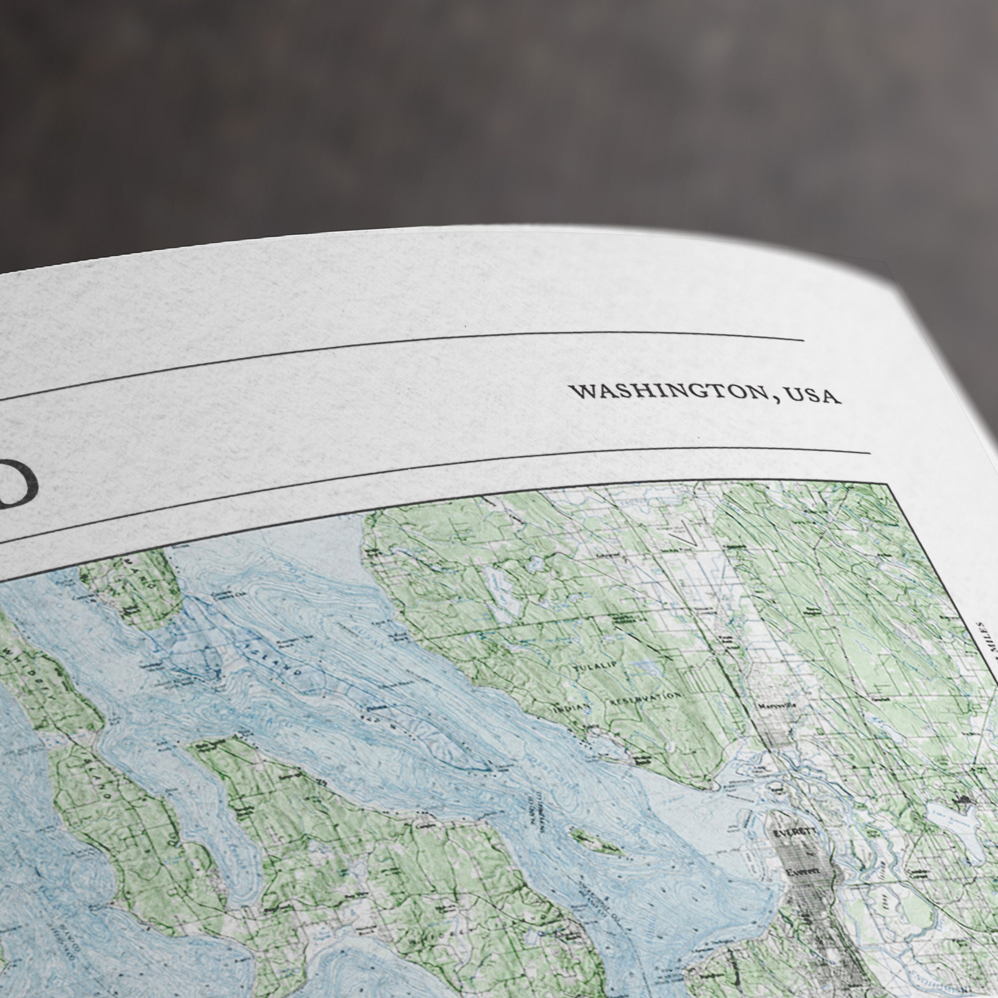 Puget Sound Topographic Map: Washington State Art Print - Etsy