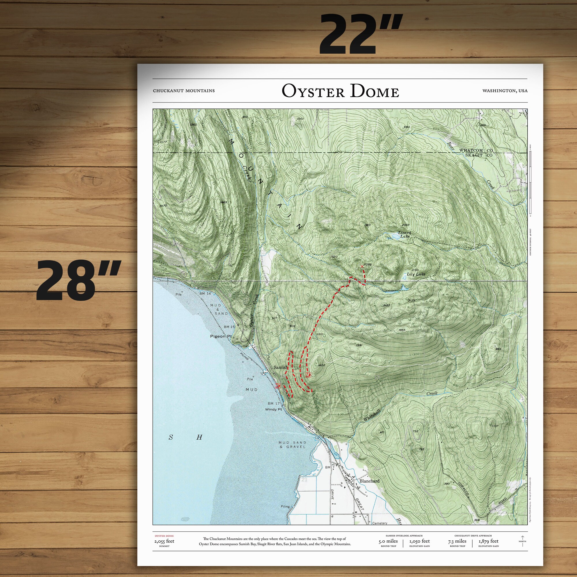 Oyster Dome Trail Map Chuckanut Mountains WA Framed Print - Etsy