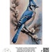 Blue Jay Bead Tapestry Pattern, Wildlife Design for Loom and Peyote - Etsy