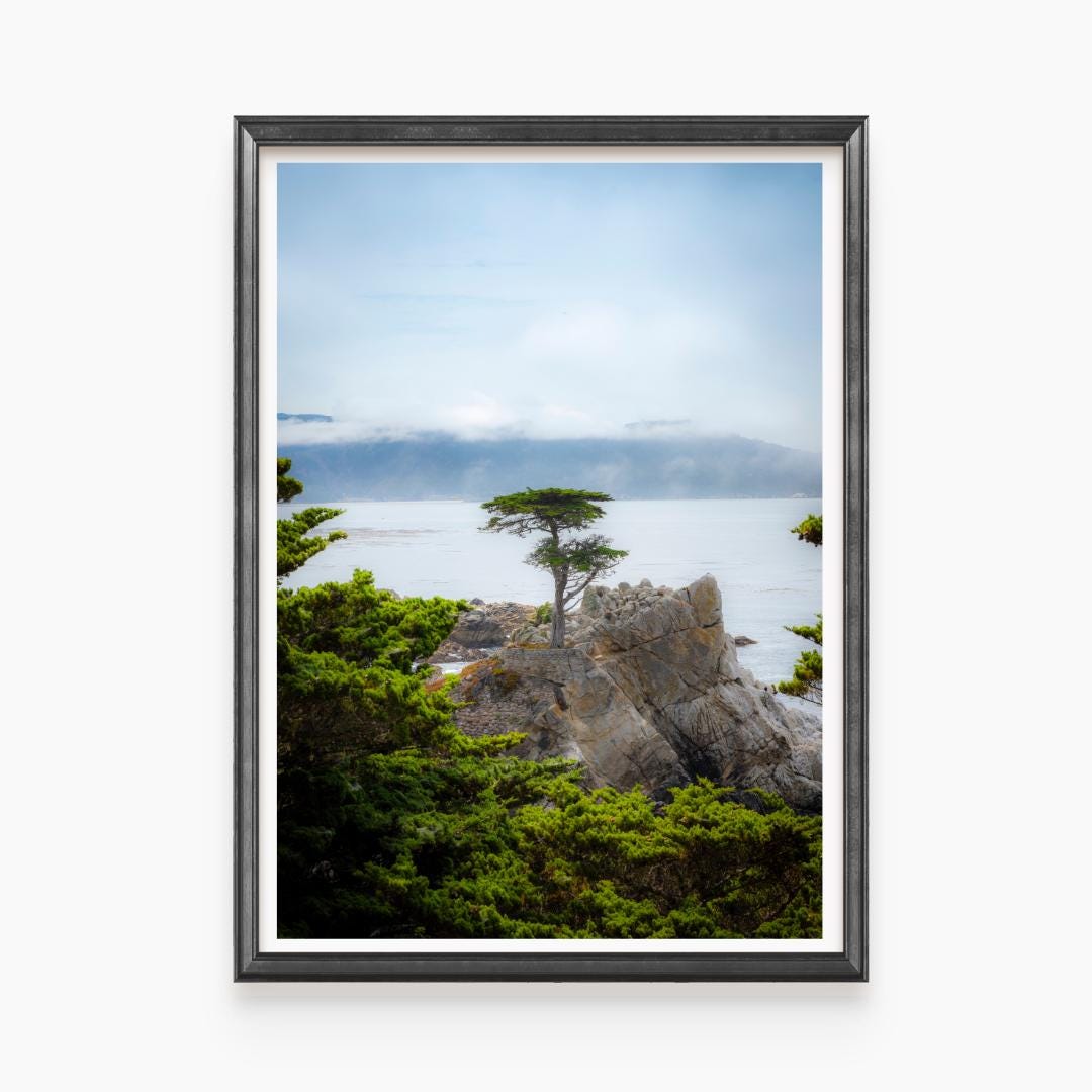 Lone Cypress, Pebble Beach, Iconic Tree, California Coast, Golf, Golf ...