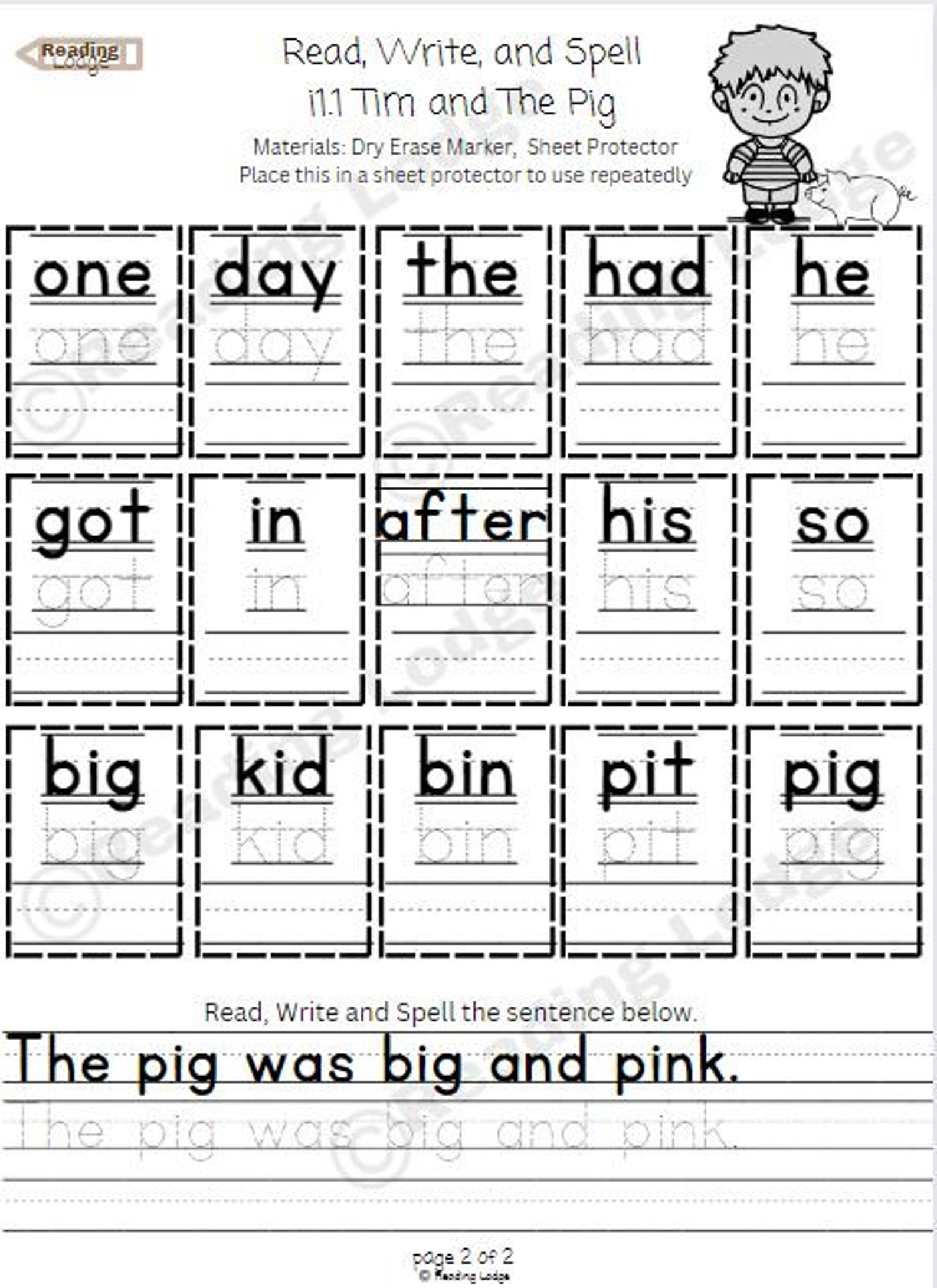 Short Vowel Reading Practice: Phonics Skills Worksheets (digital ...