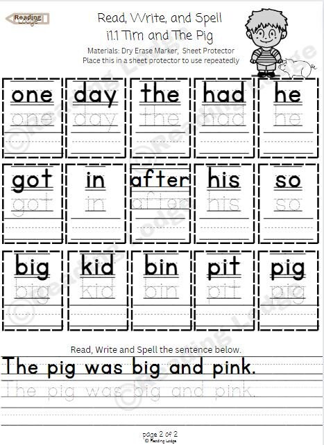 Short Vowel Reading Practice: Phonics Skills Worksheets (digital ...