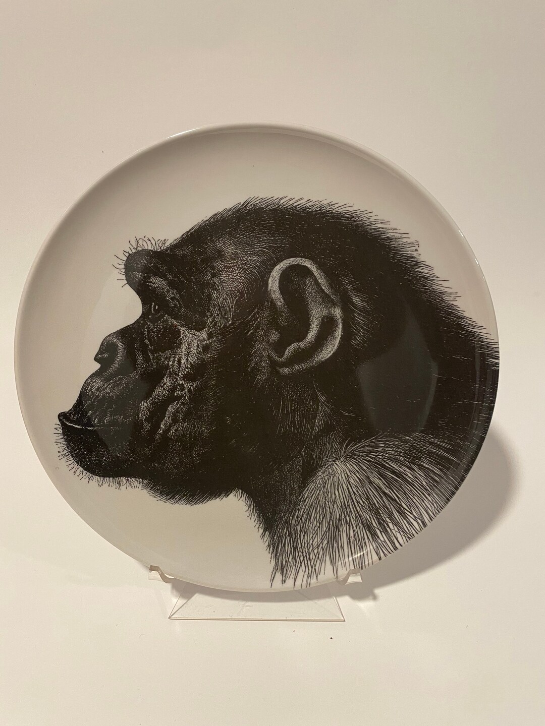 Gorilla “mammalia” 10” Melamine Plate - Etsy