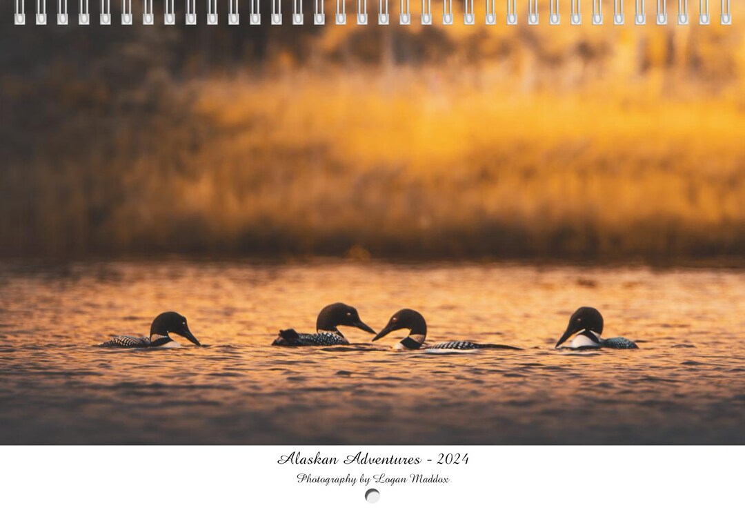 2024 'alaskan Adventures' Wall Calendar - Etsy