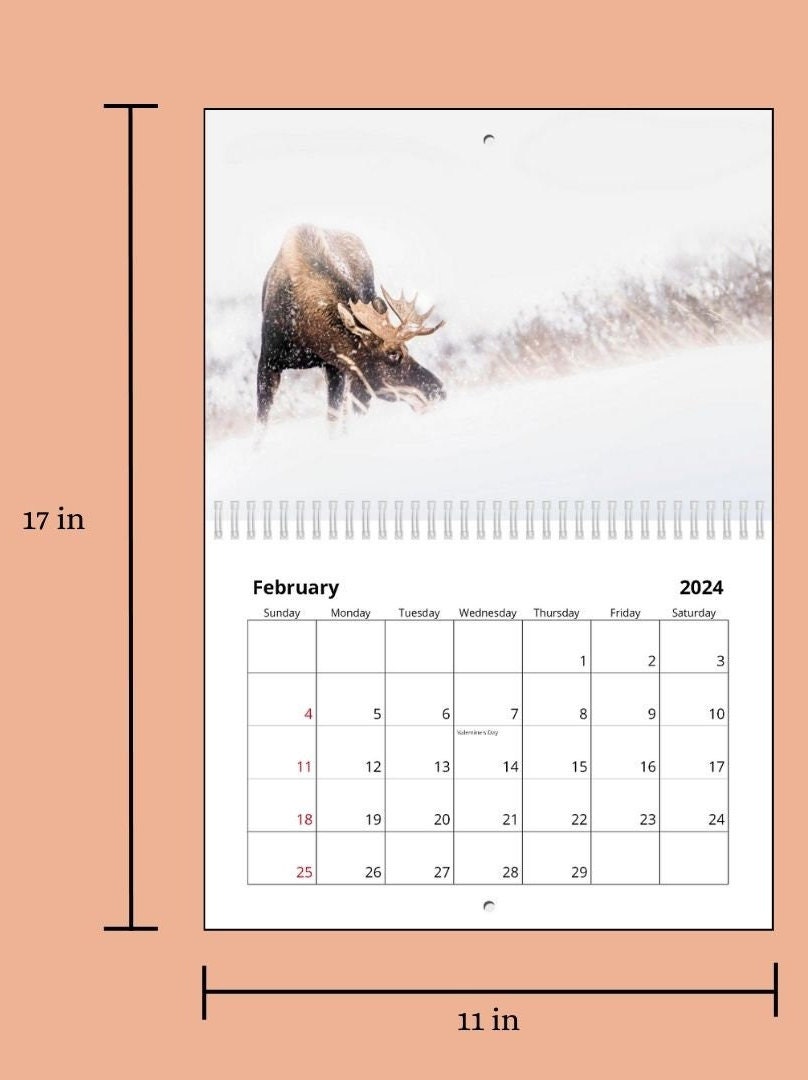 2024 'alaskan Adventures' Wall Calendar - Etsy