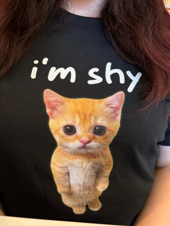 Shy Cat Memes