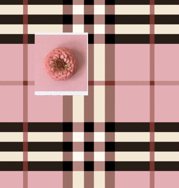 Pink Burberry Wallpaper