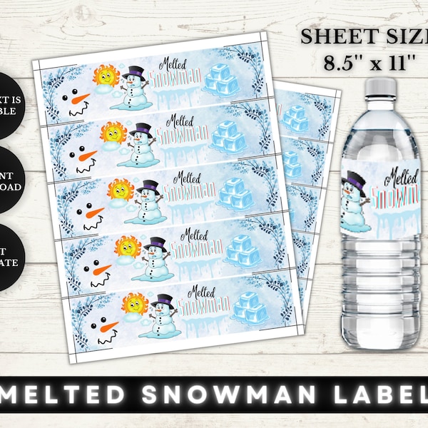 Snowman Water Bottle - Etsy