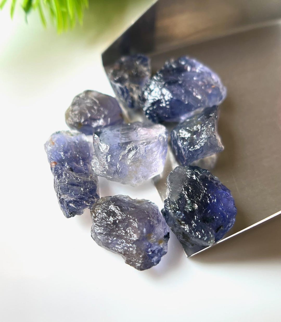 8 PCS Raw Blue Iolite Crystals: Natural Rough Gemstone Pieces (13-18 MM ...