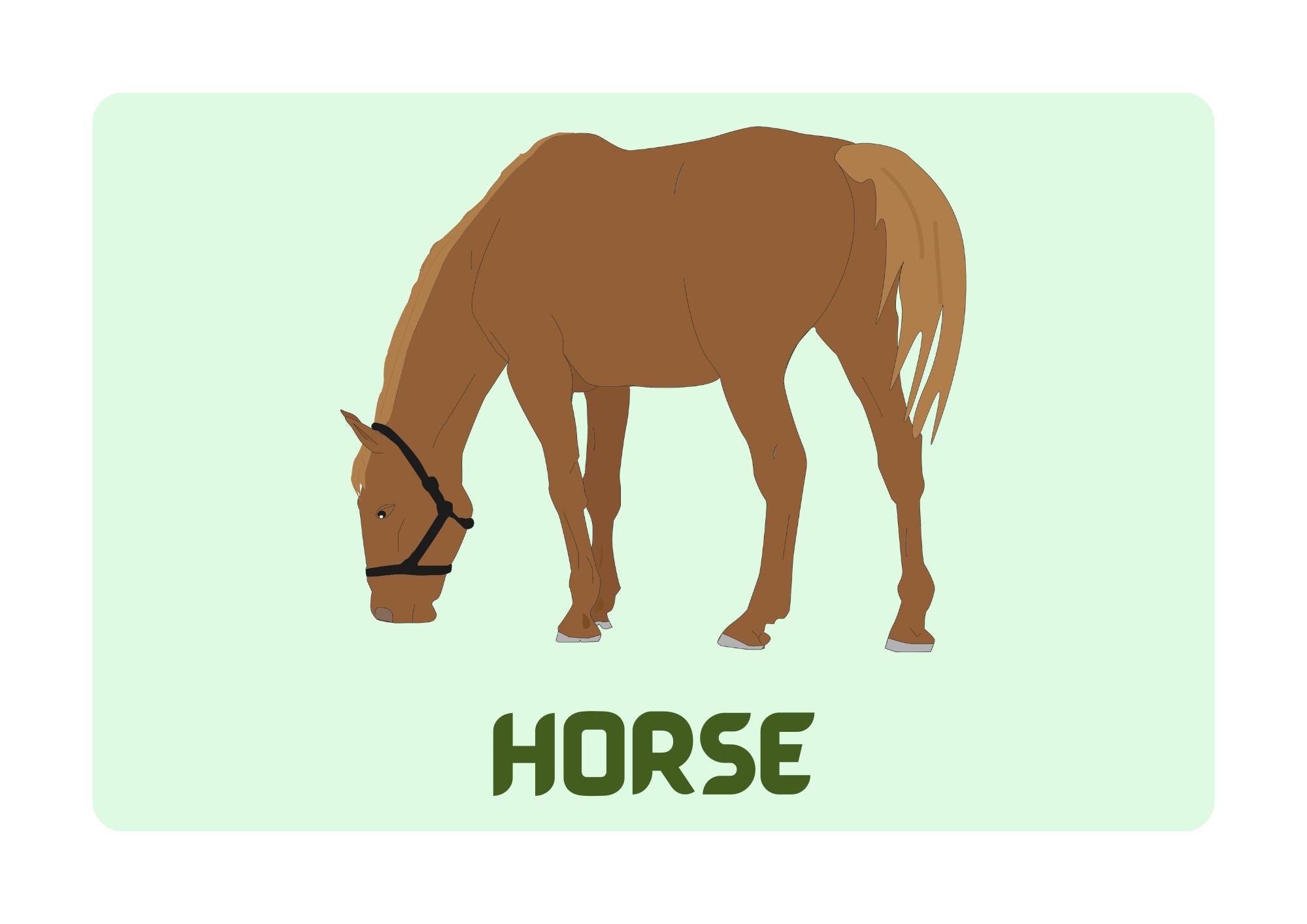 Body Parts and Animals Flashcards for Kids | Educational Printable ...