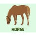 Body Parts and Animals Flashcards for Kids | Educational Printable ...