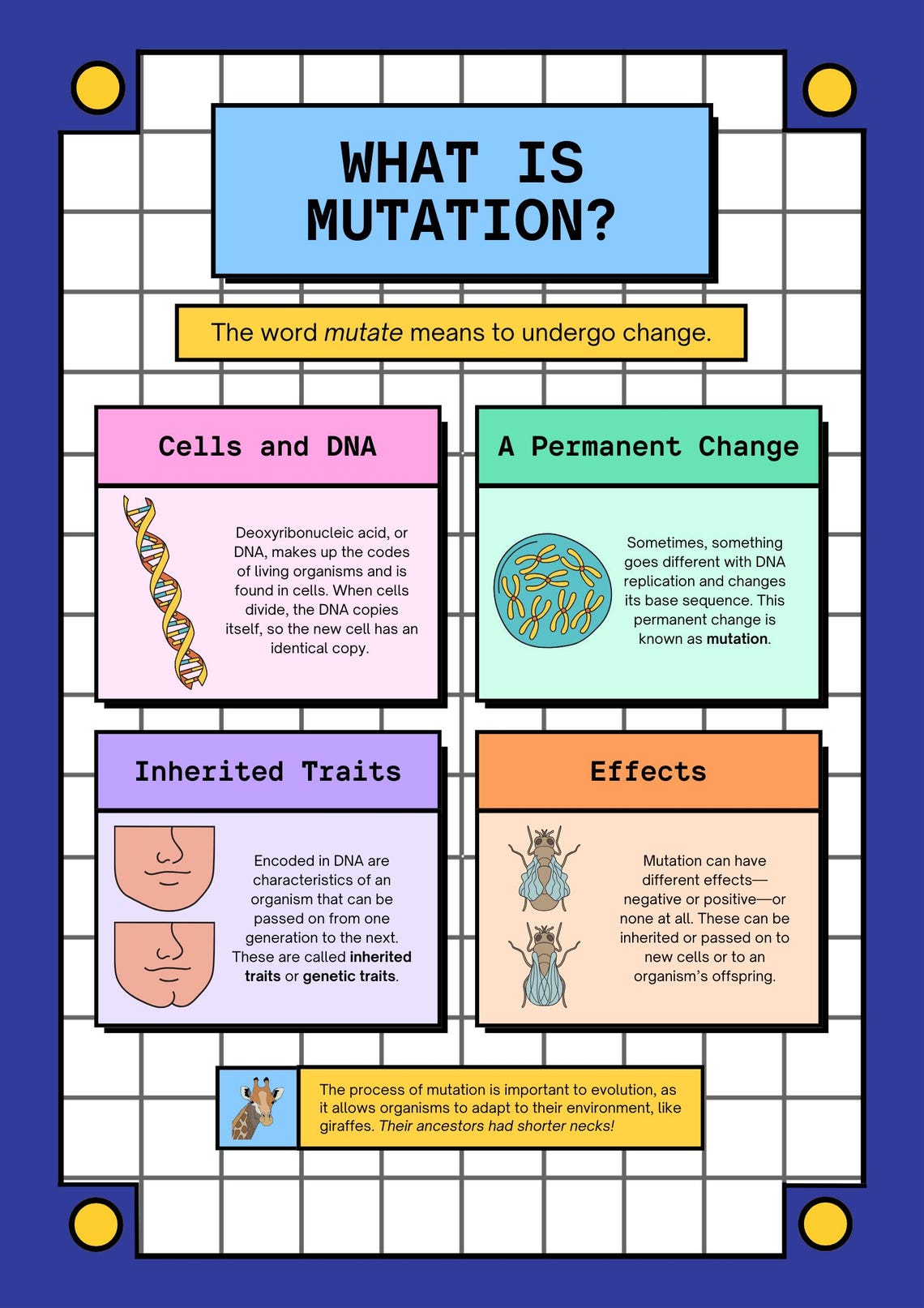 Educational Mutation Poster | Science Classroom Decor | DNA Mutations ...