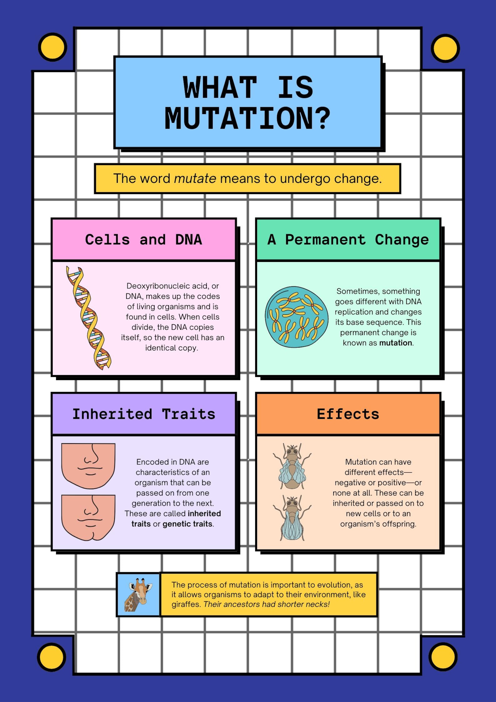 Educational Mutation Poster | Science Classroom Decor | DNA Mutations ...