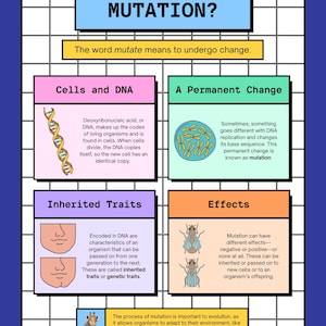Educational Mutation Poster | Science Classroom Decor | DNA Mutations ...