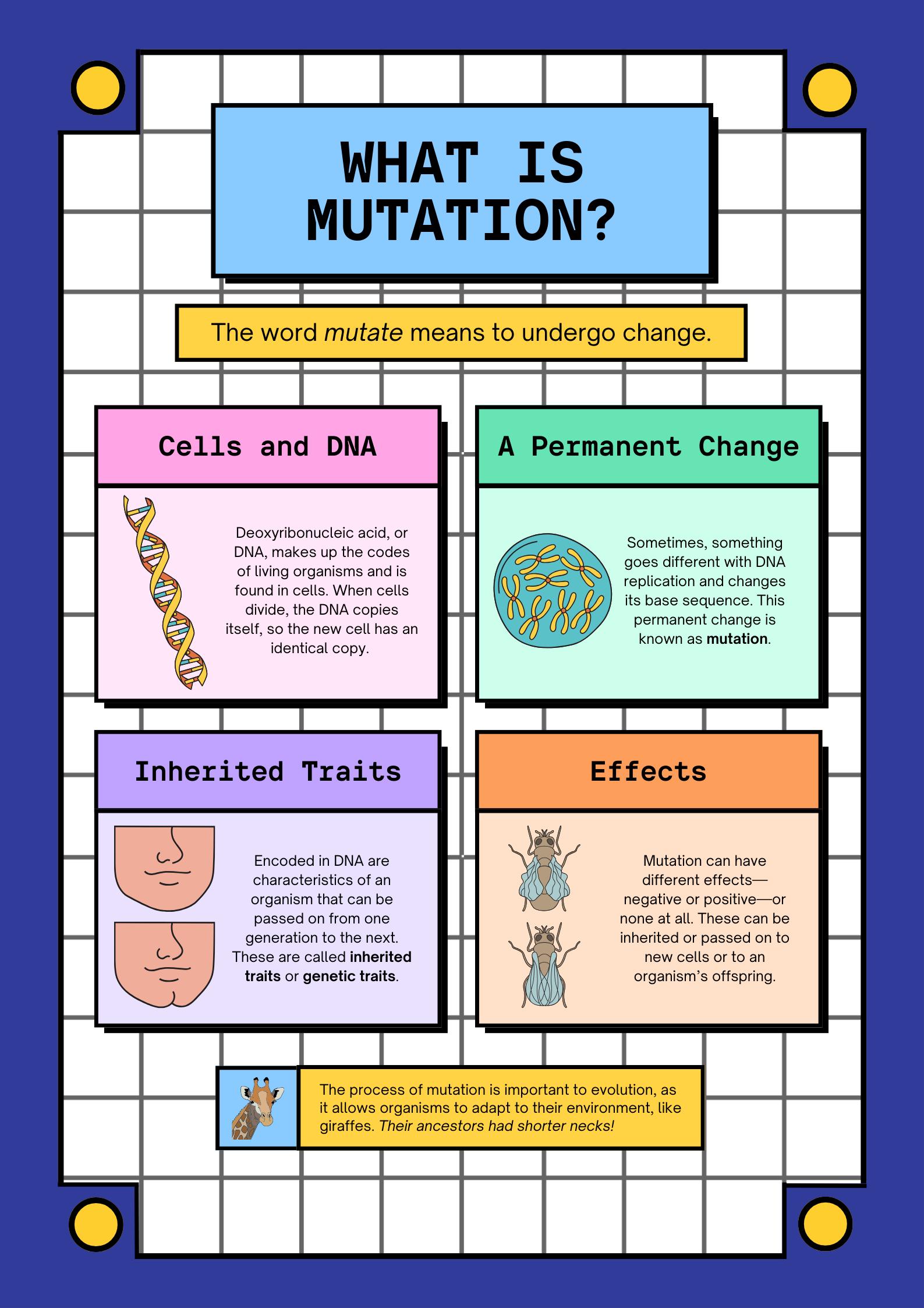 Educational Mutation Poster | Science Classroom Decor | DNA Mutations ...
