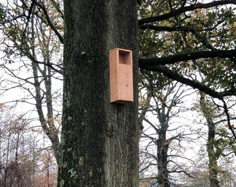 Barred or Great Horned Owl Nesting Box With Free Shipping - Etsy