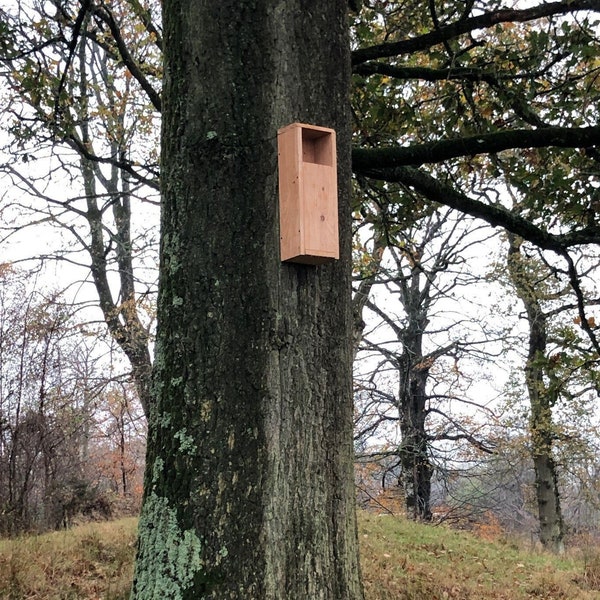 Owl Box - Etsy