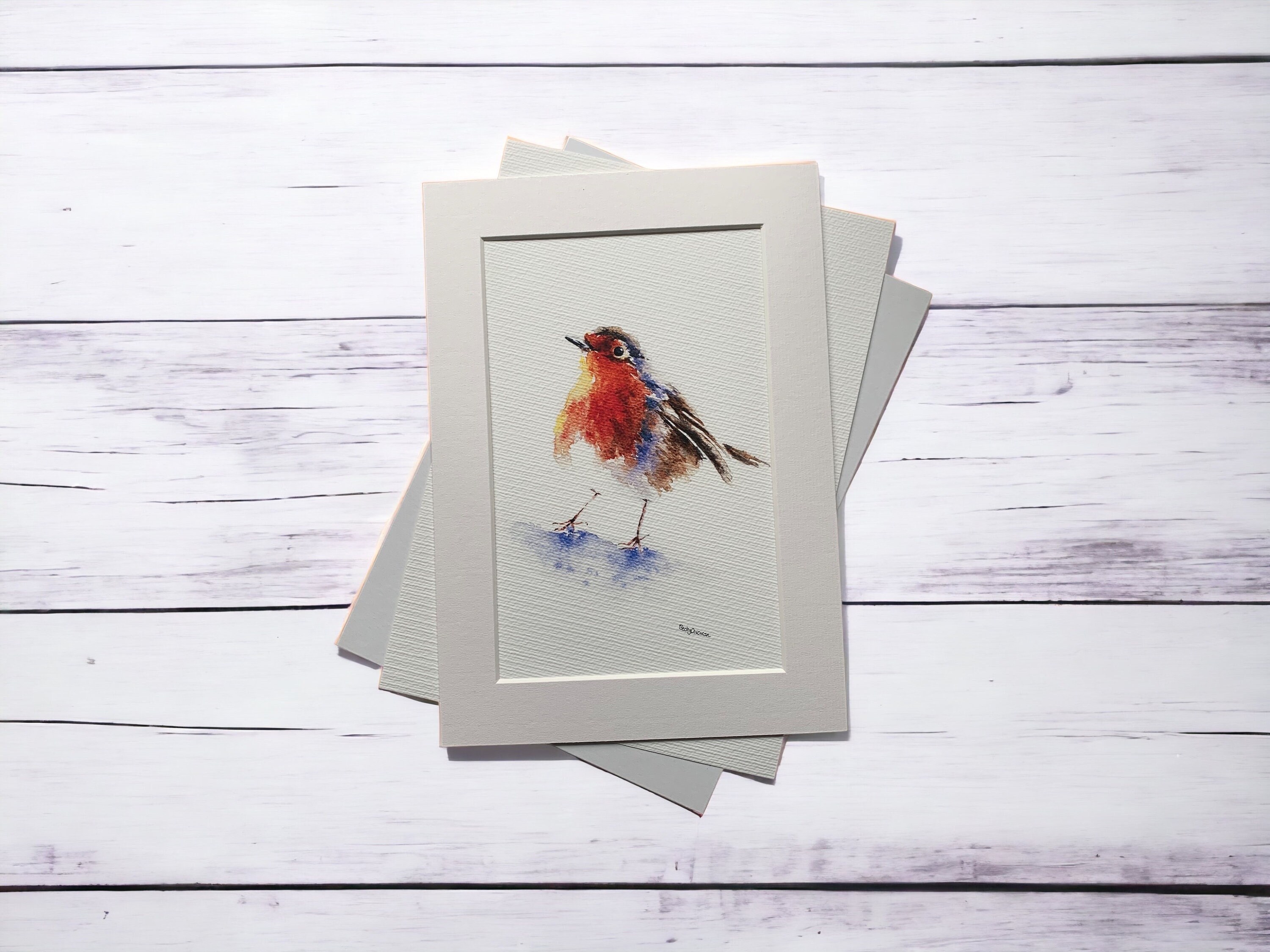 Robin A4 Fine Art Print With Mount - Etsy UK