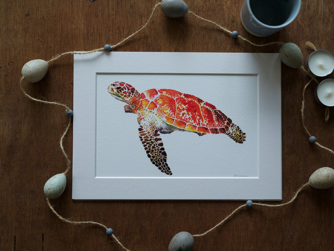 Turtle A4 Fine Art Print With Mount - Etsy