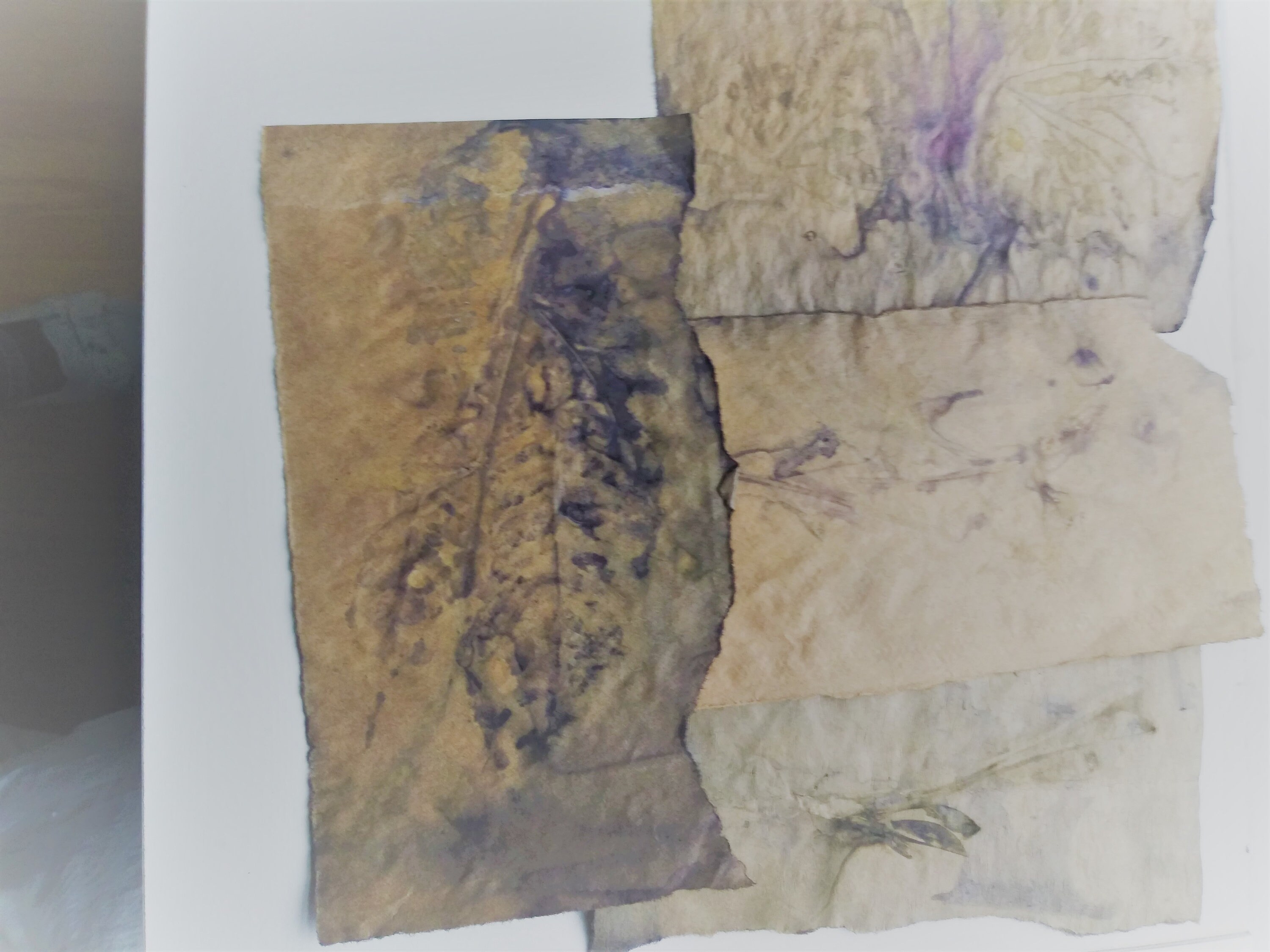 Leaf Printed Papers, Unique Natural Prints Brown Bag, Antique Book ...