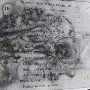 Leaf Printed Papers, Unique Natural Prints Brown Bag, Antique Book ...