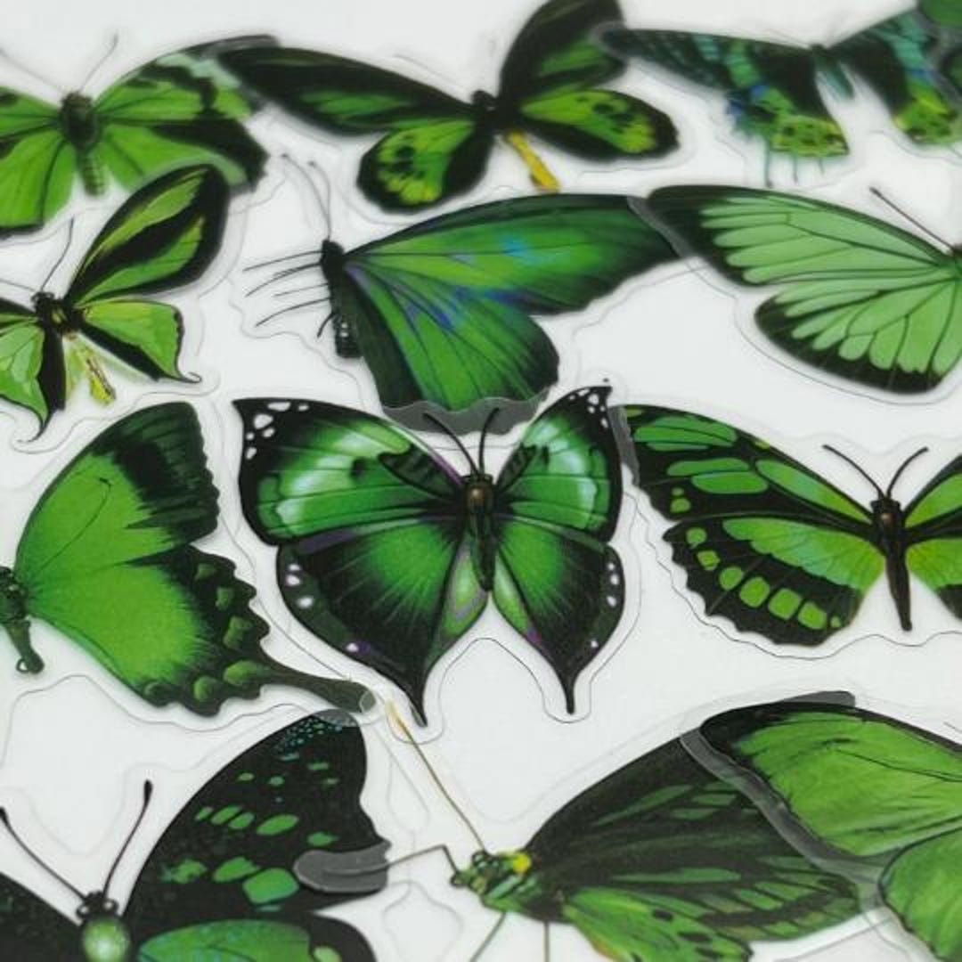 20/40 Transparent Green Butterfly Stickers Pack, Crafts Party Gifting ...