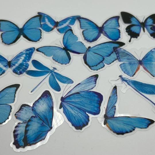20/40 Transparent Light Blue Butterfly Stickers Pack, Crafts Party ...