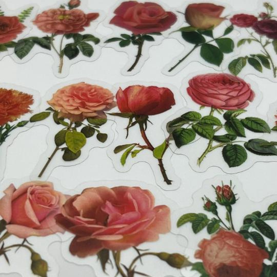 20/40 Transparent Dark Pink Rose Sticker, Floral Sticker Set, Vinyl ...