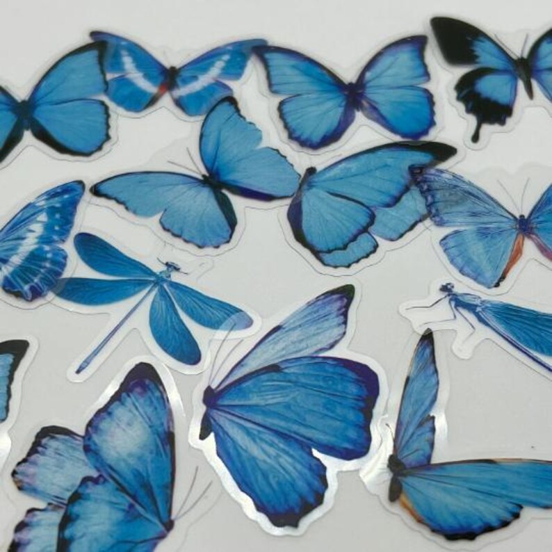 20/40 Transparent Light Blue Butterfly Stickers Pack, Crafts Party ...
