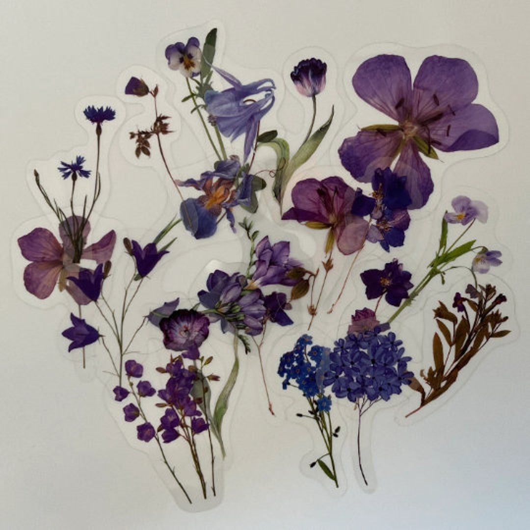 20/40 Vinyl Purple Pressed Flower Sticker, Bunch of Flower, Dried ...