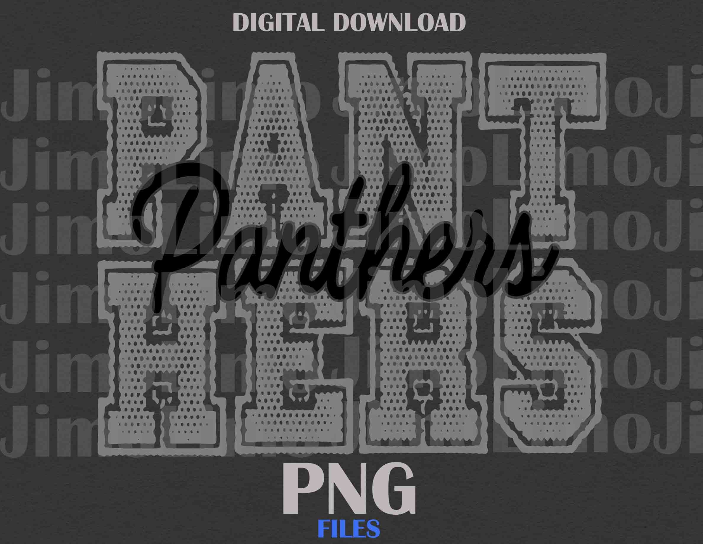 Panthers Football Png Distressed Retro Vintage Letters Files - Etsy