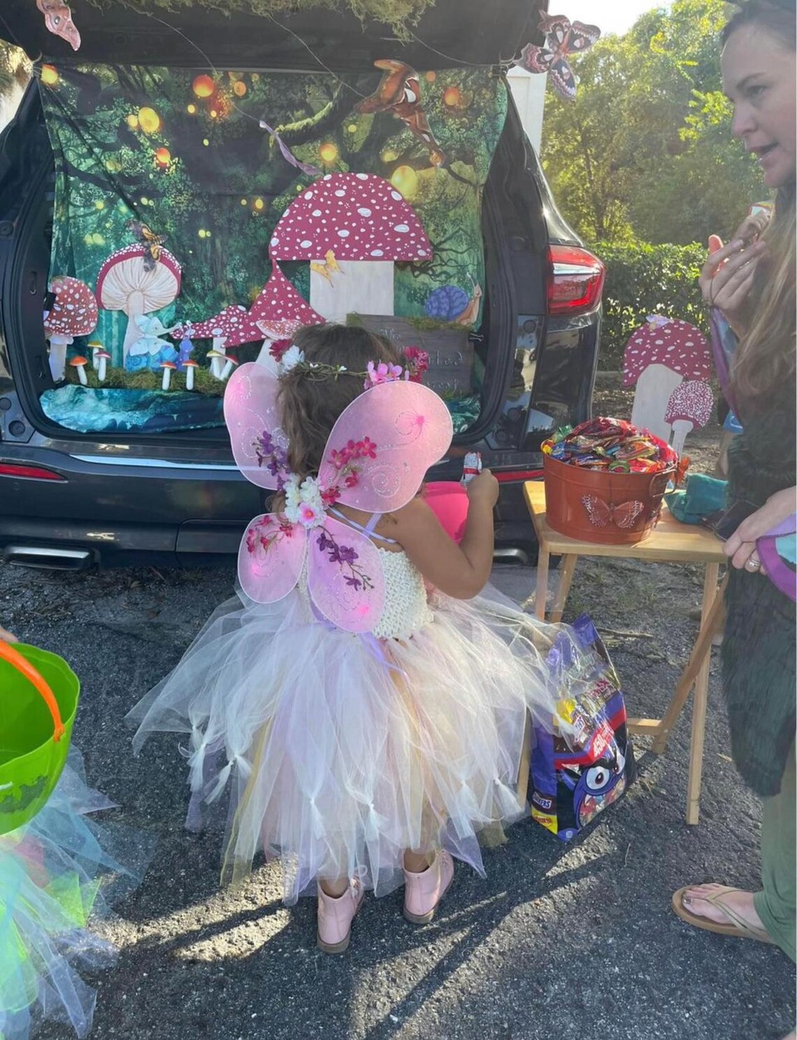 Fairy Tutu Costume, Girls Fairy Dress up Dress, Holiday Fairy Costume ...