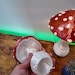 Shimmering Amanita Fungi Lamp | Fungus Light | Nature Decor - Etsy