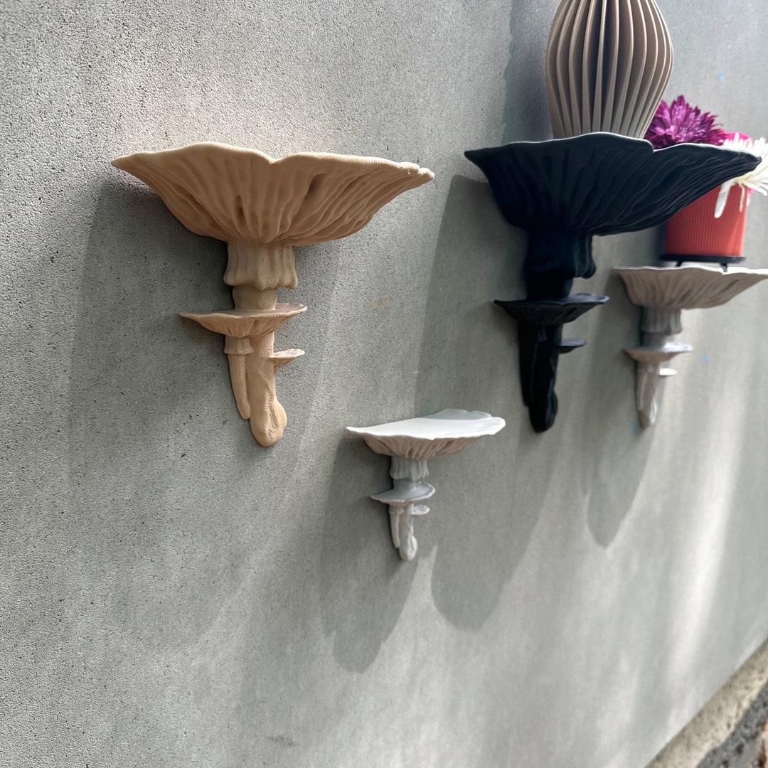 Amanita Fungus Mushroom Shelf | Floating Shelf | Standard Matte Decor ...
