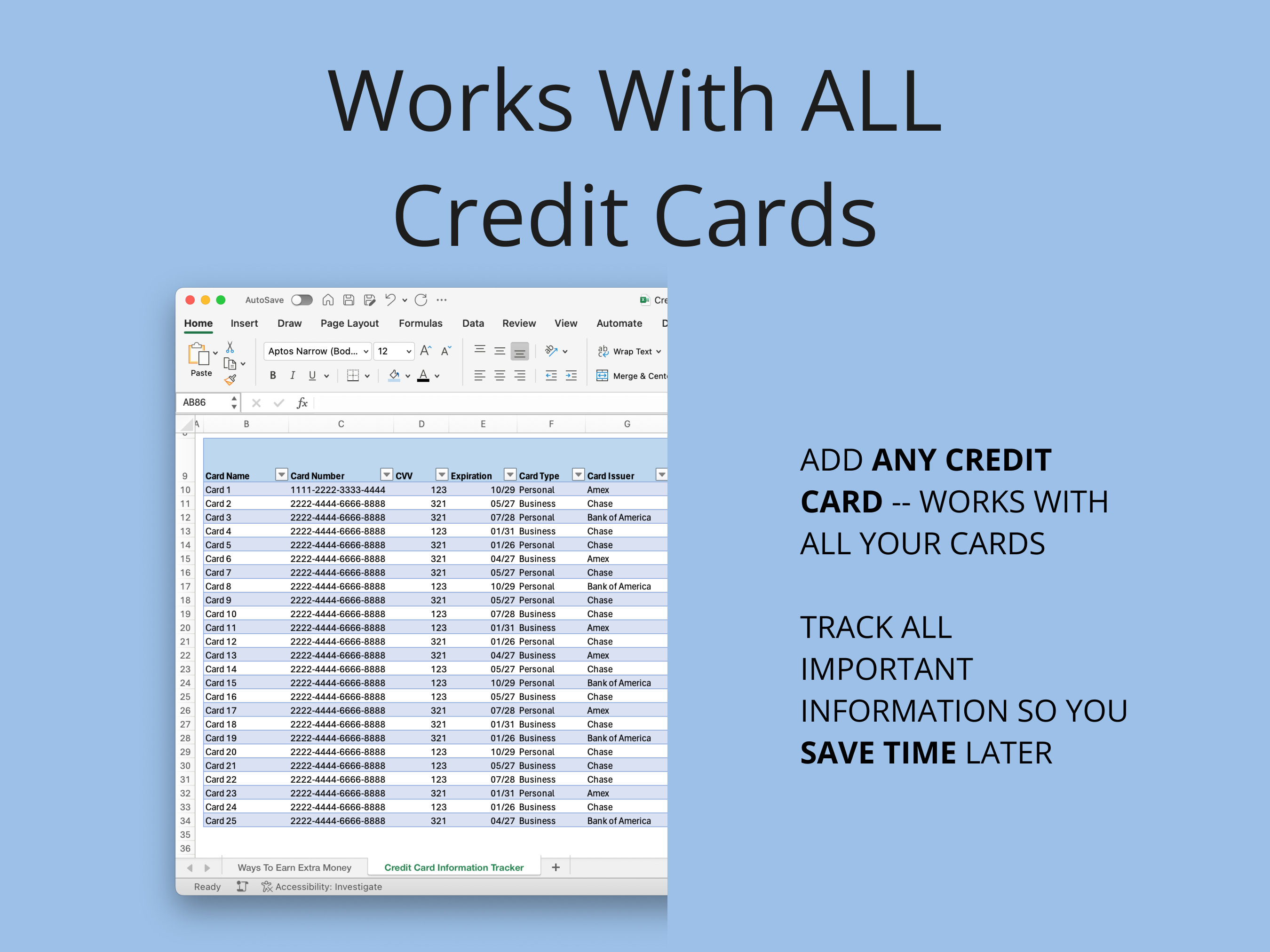 Credit Card Information Spreadsheet - Microsoft Excel & Google Sheets ...