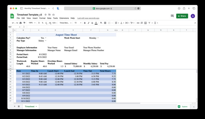 Monthly Timesheet Template for Microsoft Excel & Google Sheets (blue ...