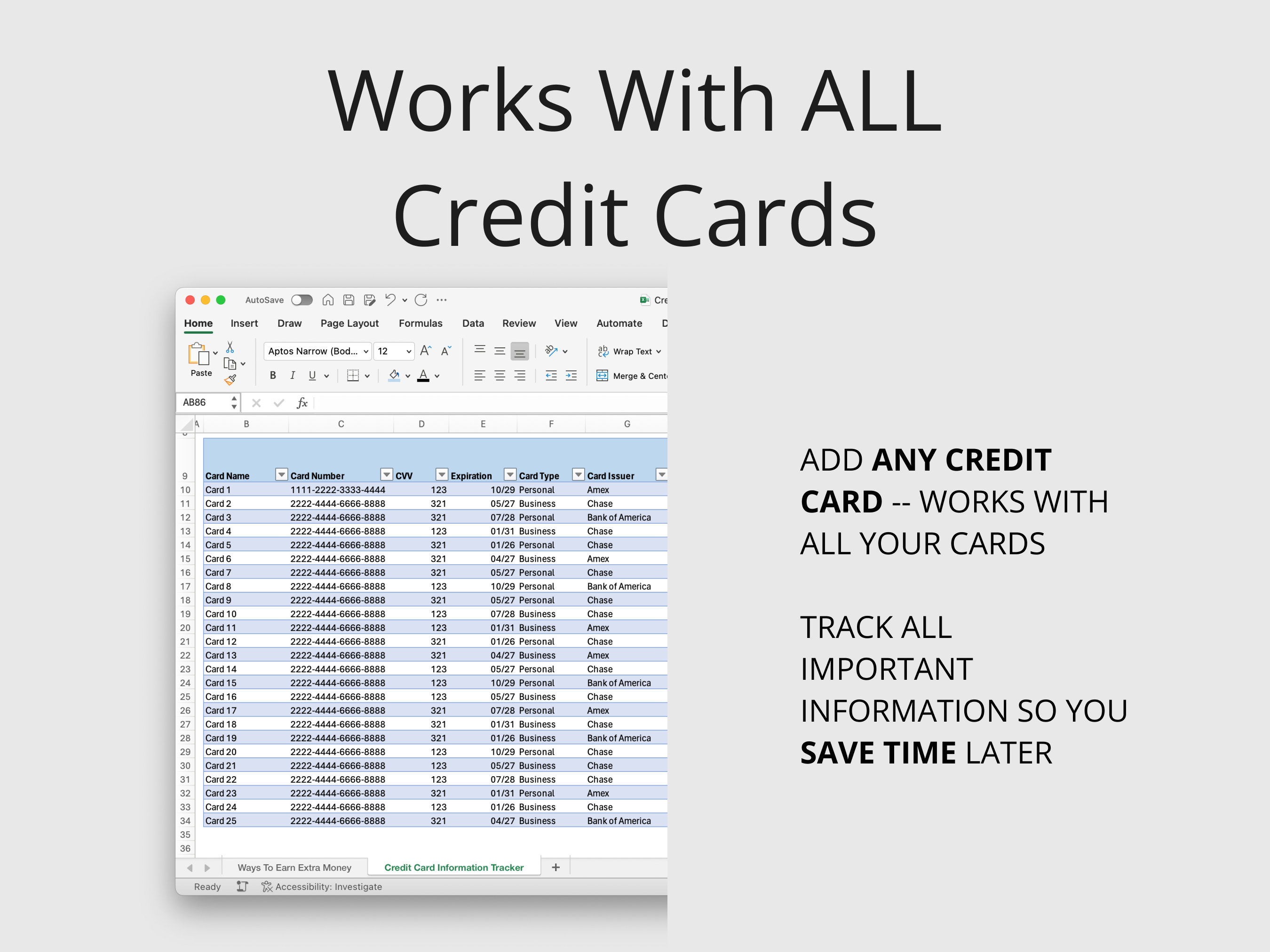 Credit Card Information Spreadsheet - Microsoft Excel & Google Sheets ...