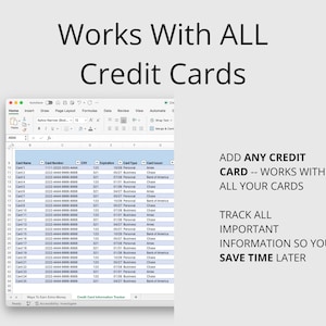 Credit Card Information Spreadsheet - Microsoft Excel & Google Sheets ...