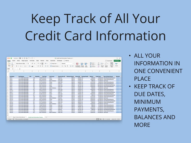 Credit Card Information Spreadsheet - Microsoft Excel & Google Sheets ...