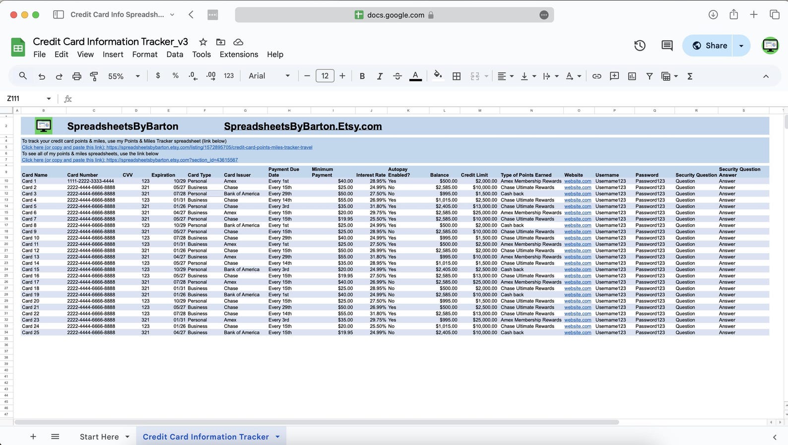 Credit Card Information Spreadsheet - Microsoft Excel & Google Sheets ...