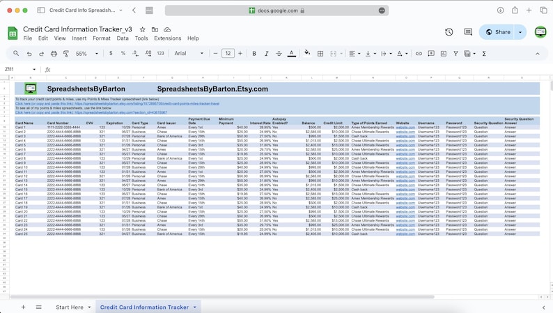 Credit Card Information Spreadsheet - Microsoft Excel & Google Sheets ...