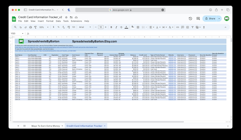 Credit Card Information Spreadsheet - Microsoft Excel & Google Sheets ...
