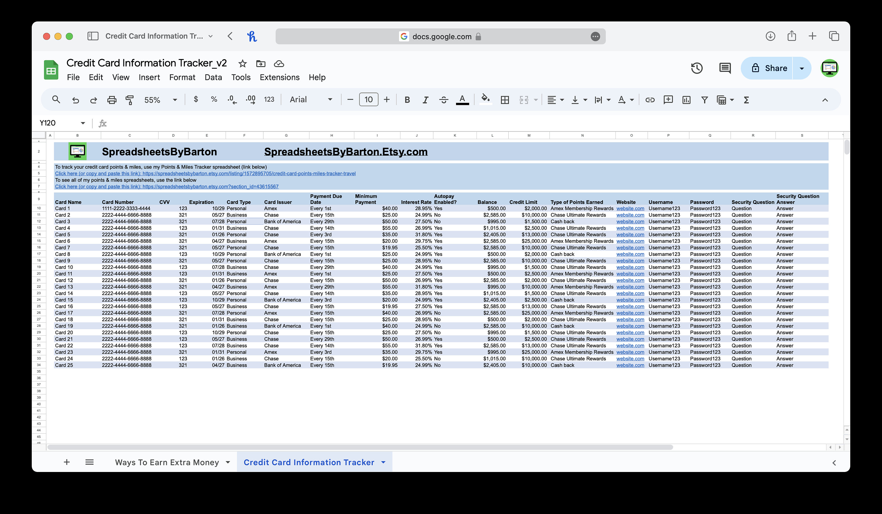 Credit Card Information Spreadsheet - Microsoft Excel & Google Sheets ...