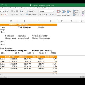 Monthly Timesheet Template for Microsoft Excel & Google Sheets orange Track Hours Worked Dynamic ...