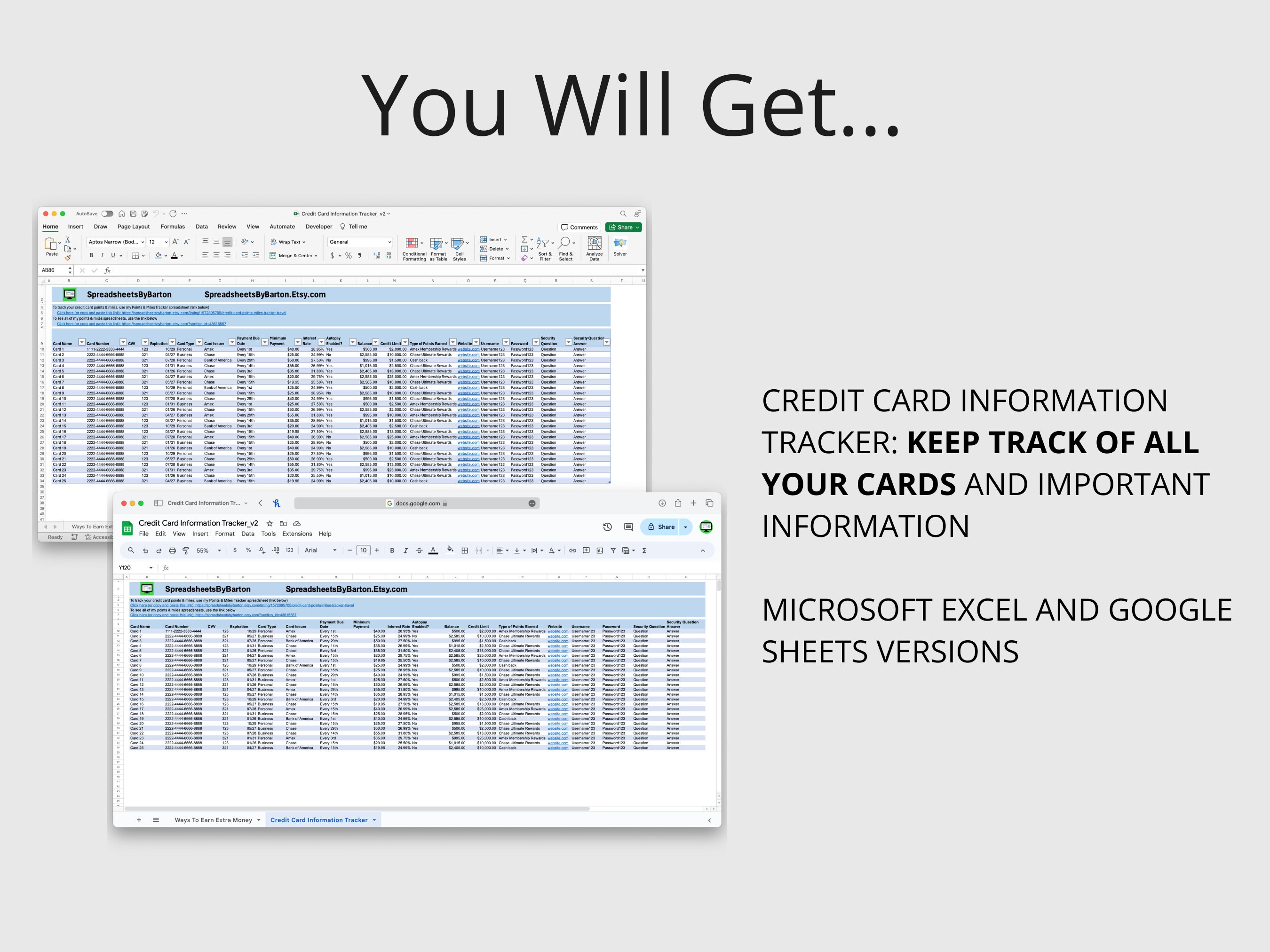 Credit Card Information Spreadsheet - Microsoft Excel & Google Sheets ...