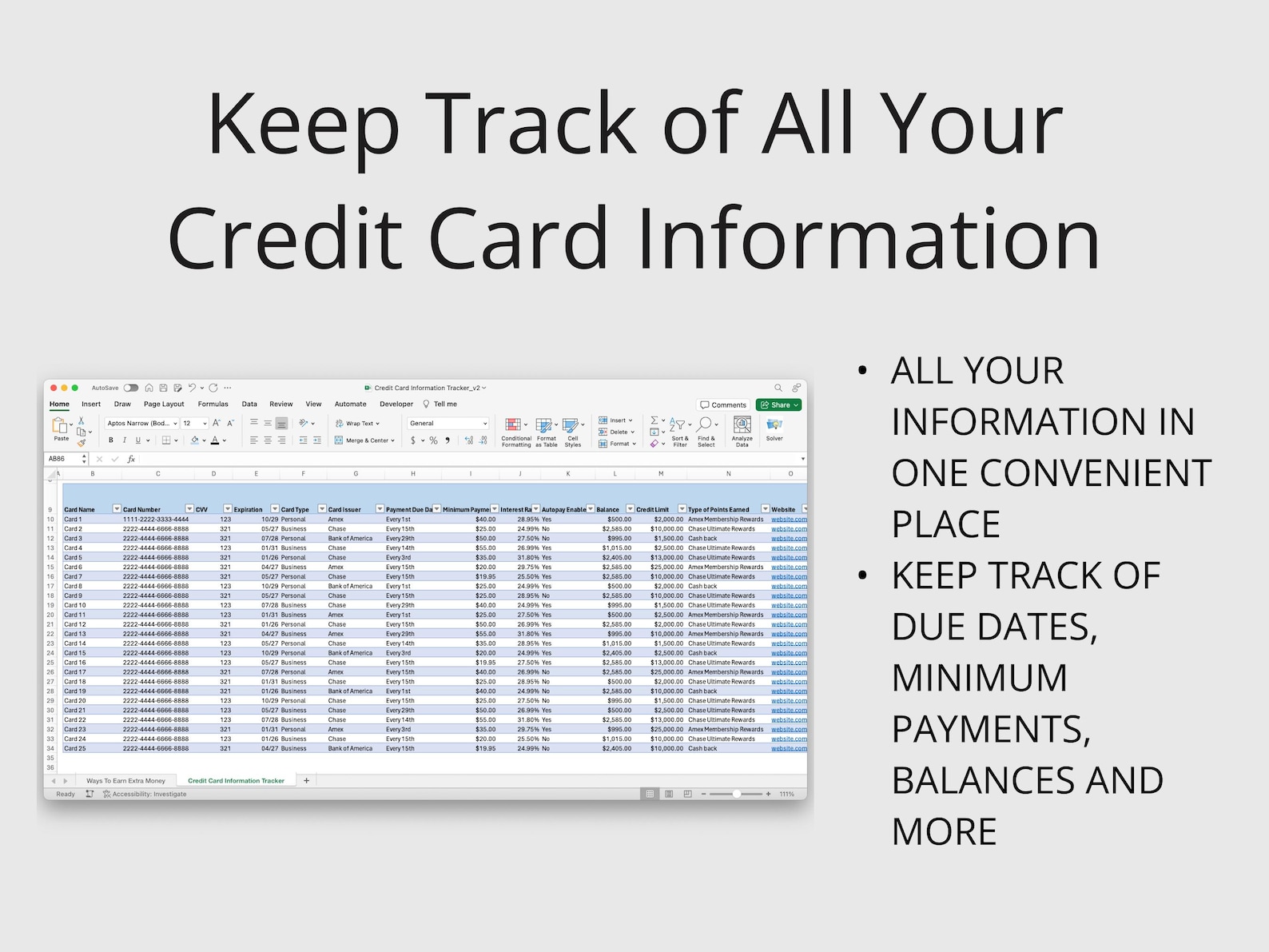 Credit Card Information Spreadsheet - Microsoft Excel & Google Sheets ...