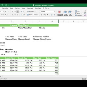 Timesheet Template for Microsoft Excel & Google Sheets (green) - Track ...